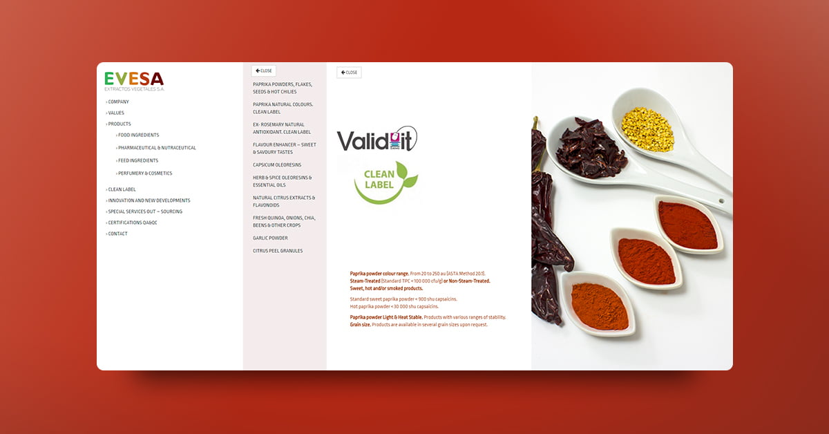 Diseño y programación web EVESA - Creaktiva