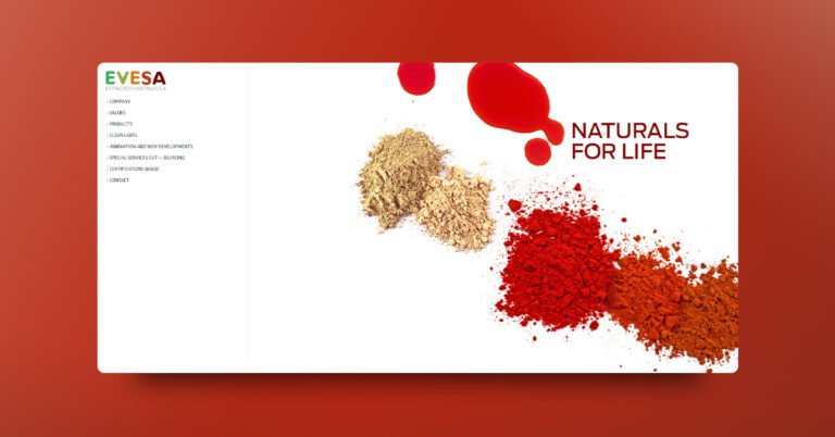 Diseño y programación web EVESA - Creaktiva